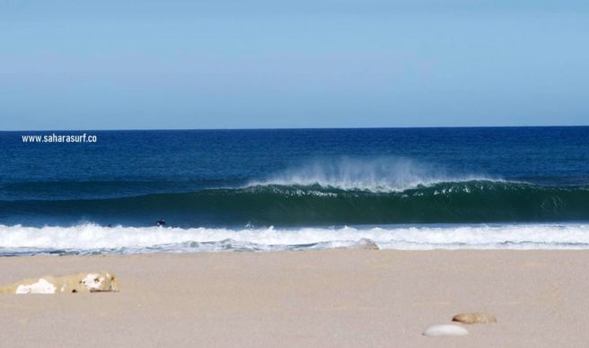 Blog – Sahara Surf