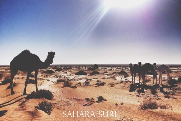 Gallery – Sahara Surf