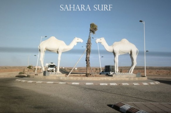 Gallery – Sahara Surf