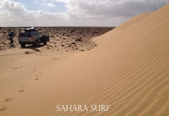 Gallery – Sahara Surf